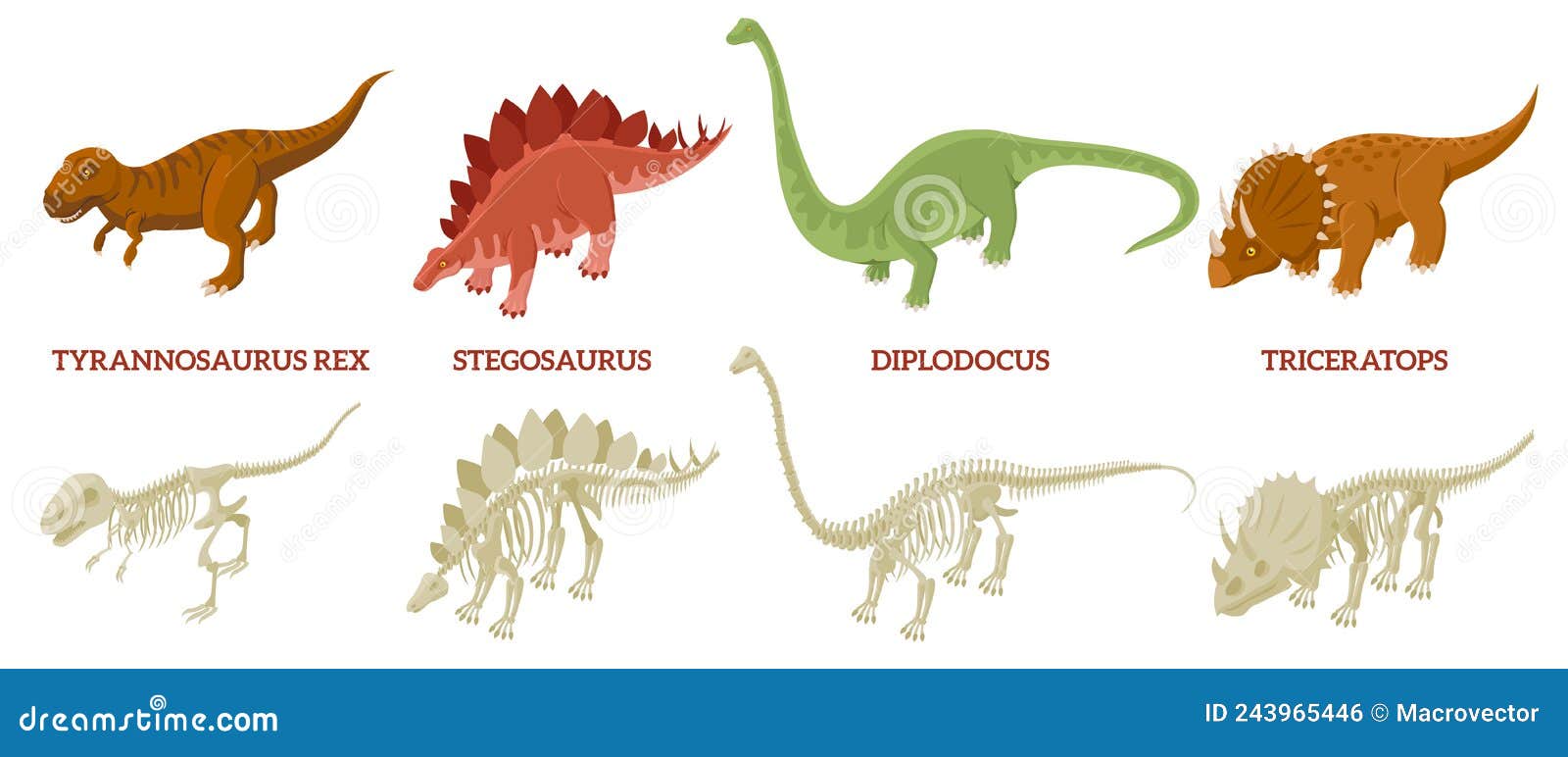 Dinosaurs Skeleton Compositions Set Stock Vector - Illustration of ...