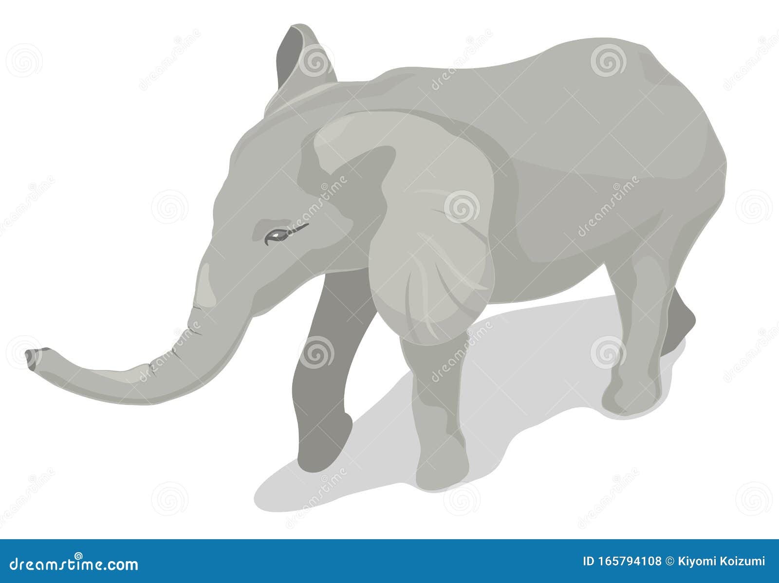 Isometric Elephant Vector Illustration with White Background. Stock ...