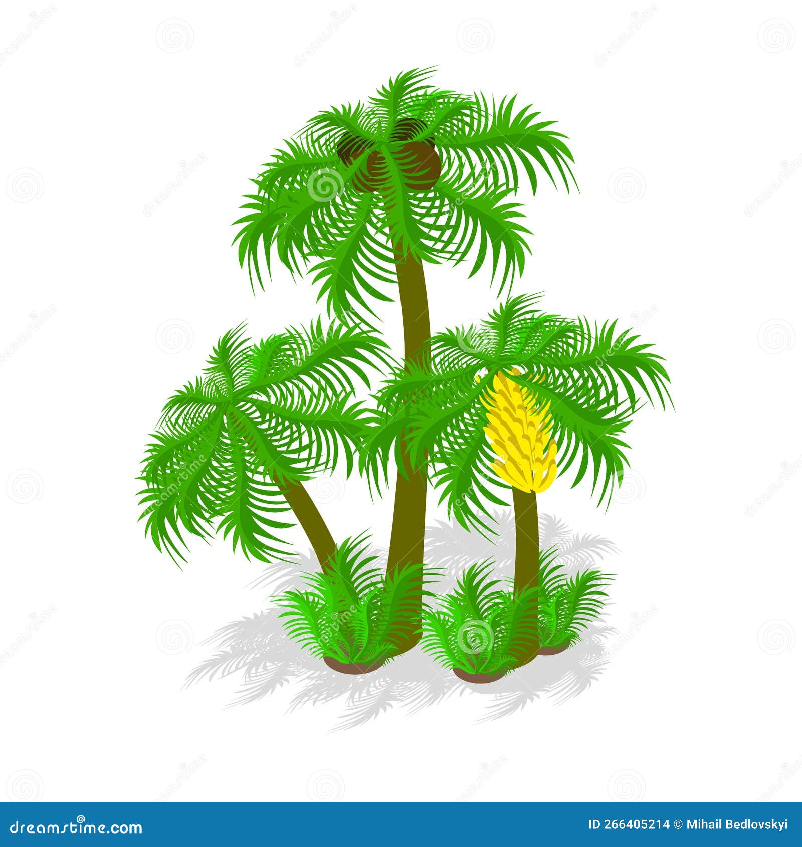 Isometric Evergreen Tropical Palm Trees. Stock Vector - Illustration of ...