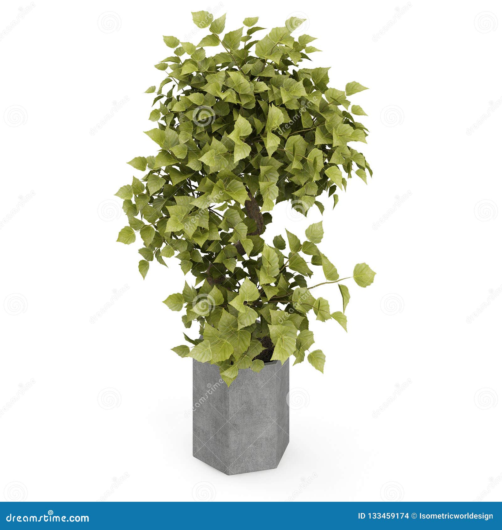 Isometric Flower 3D Rendering Stock Illustration - Illustration of ...