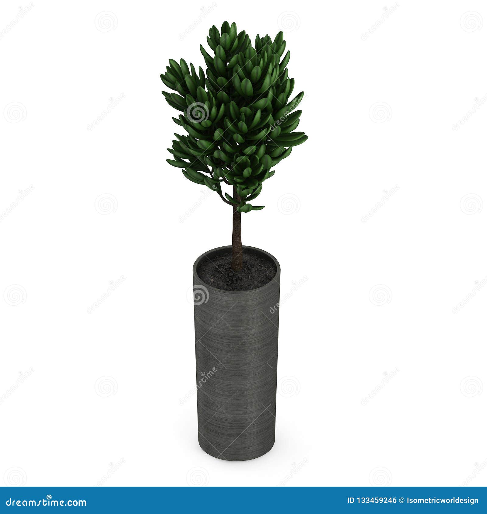 Isometric Flower 3D Rendering Stock Illustration - Illustration of blue ...