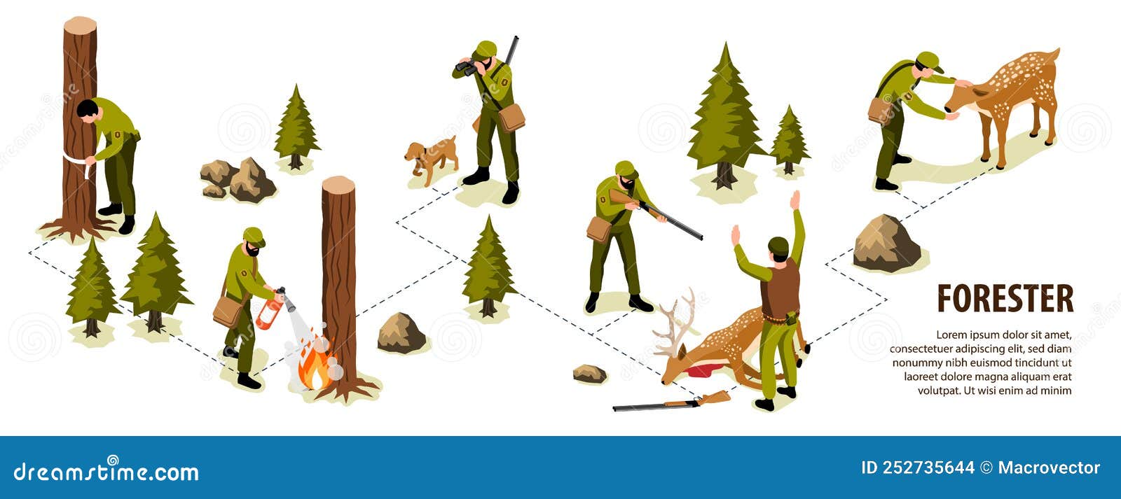 Isometric Forester Flowchart Vector Illustration | CartoonDealer.com ...