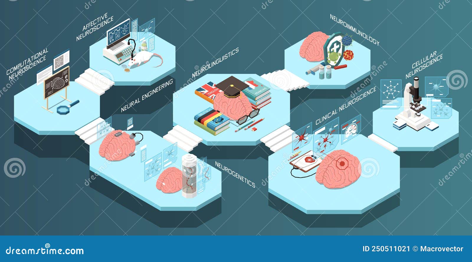 Isometric Neuroscience Composition Stock Vector - Illustration of ...