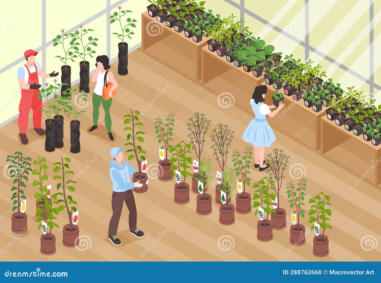 Isometric Nursery Garden Concept Stock Vector - Illustration of organic ...