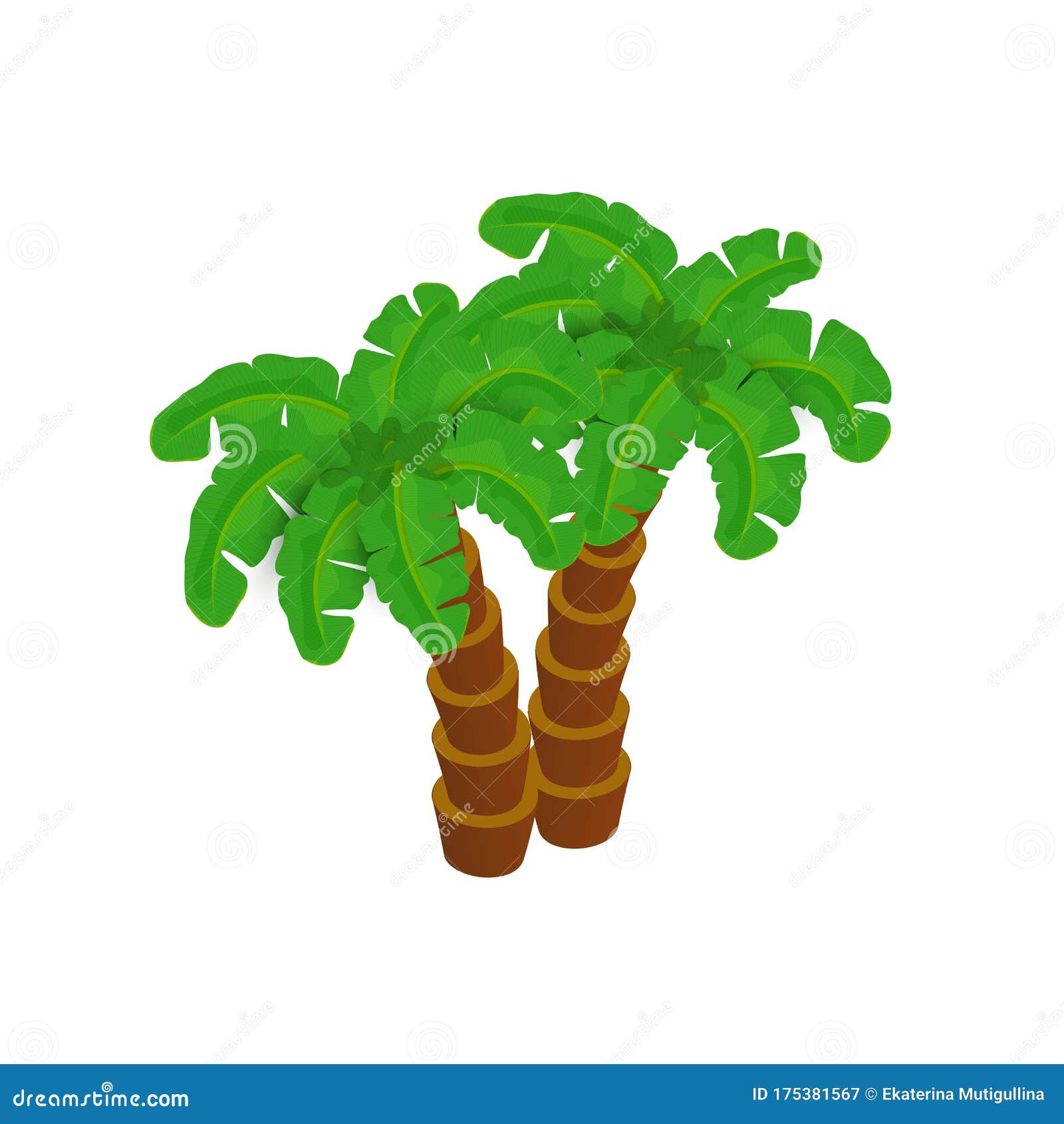 Isometric Palms Tree Isolated Stock Vector - Illustration of natural ...