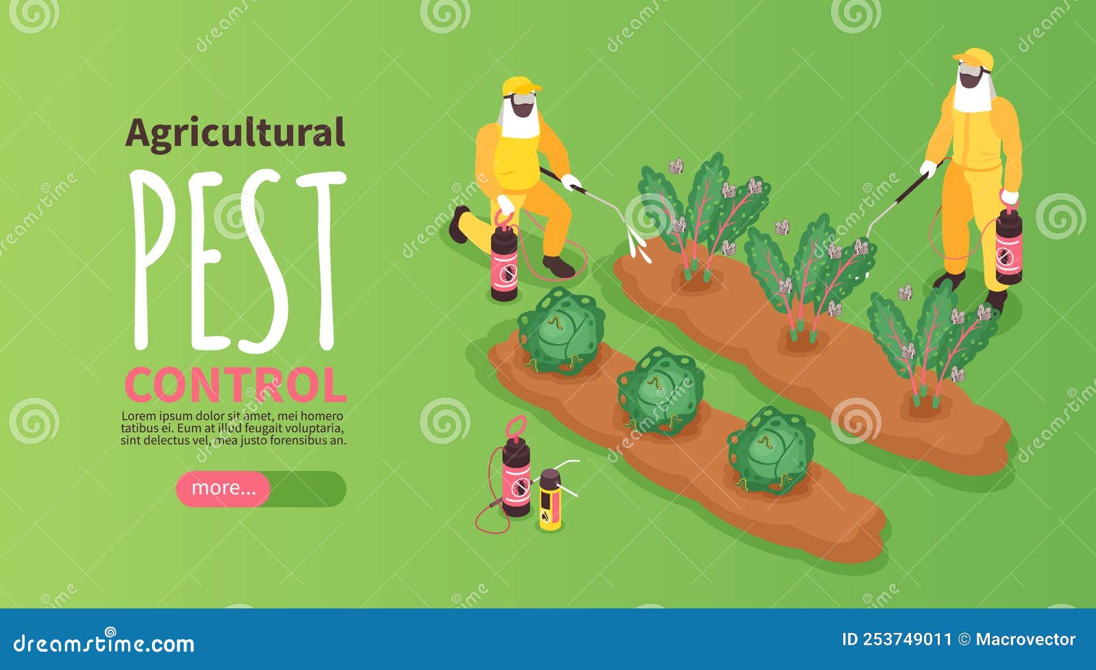 Agriculture Pest Control Concept. Rice Plant Ladybug And Magnifying ...