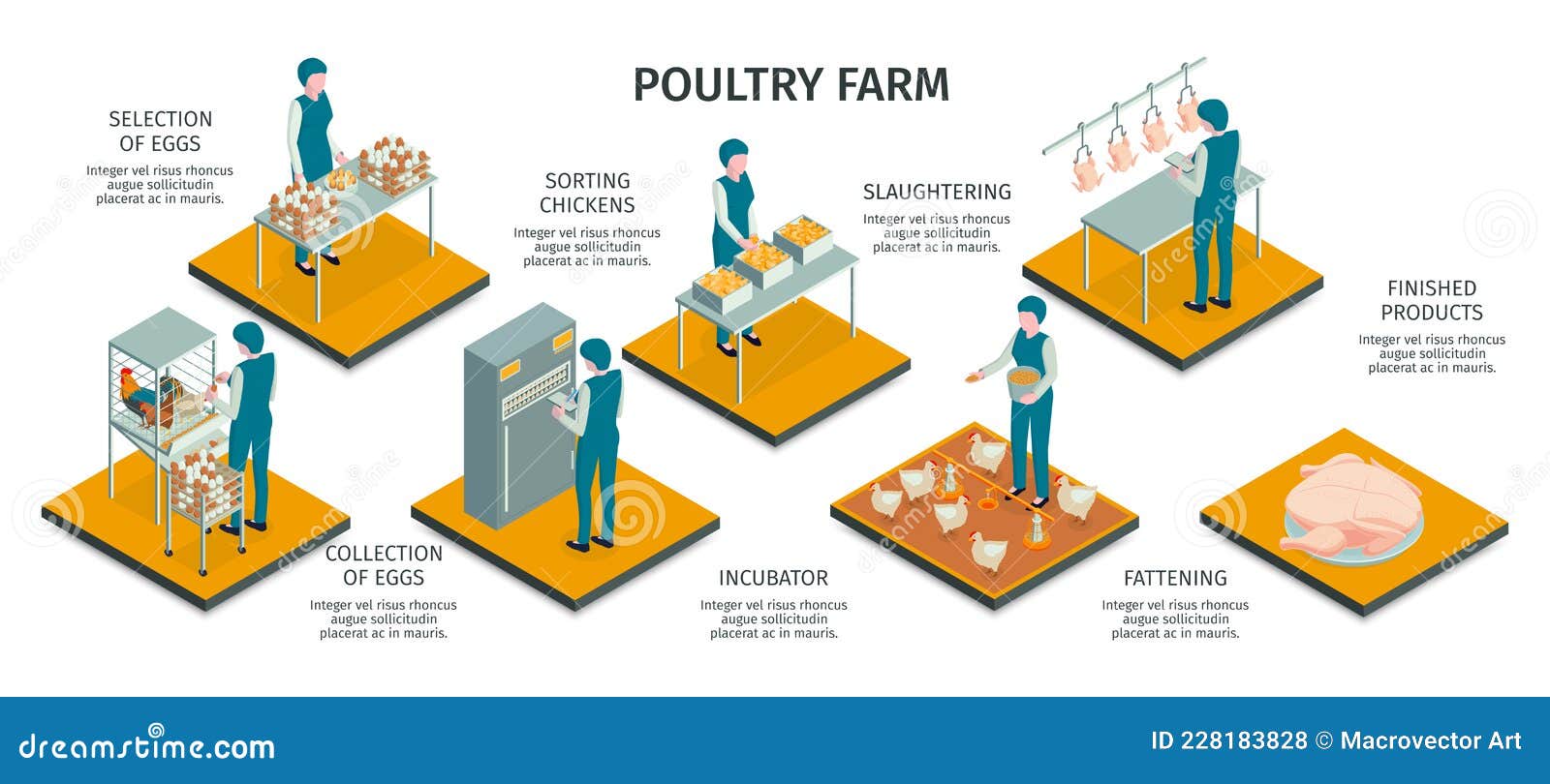 Isometric Poultry Farm Horizontal Infographics With Characters Of ...