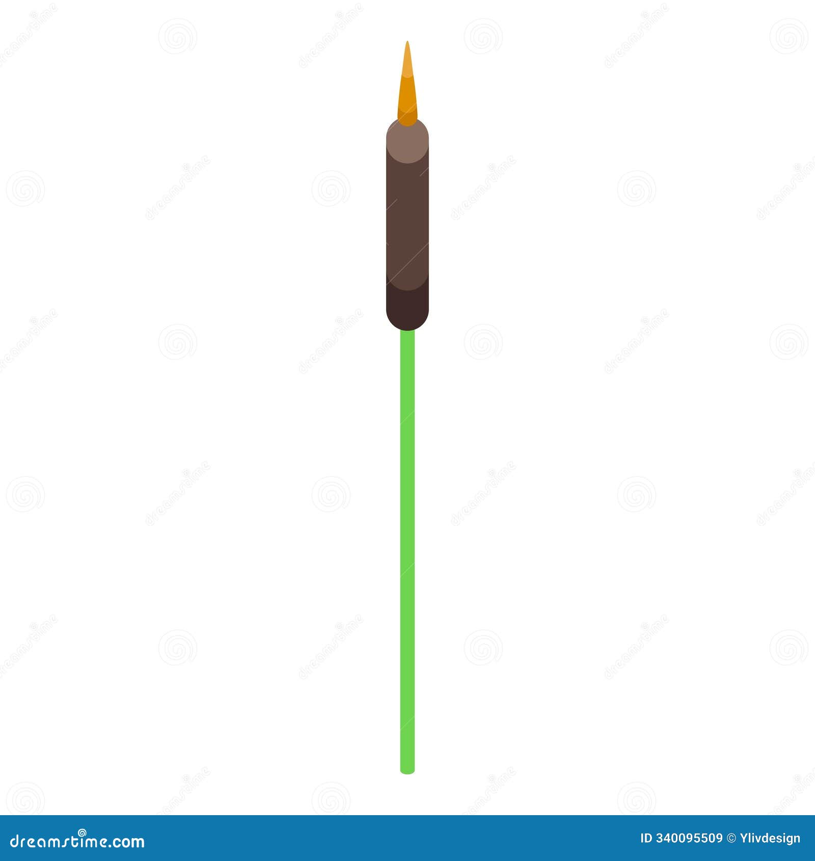 Isometric Reed Wild Plant Growing in Swamp Stock Illustration ...