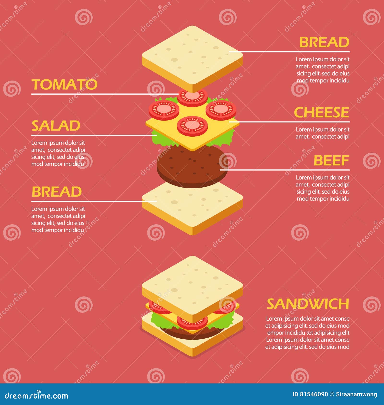 Isometric of Sandwich Ingredients Infographic Stock Vector ...