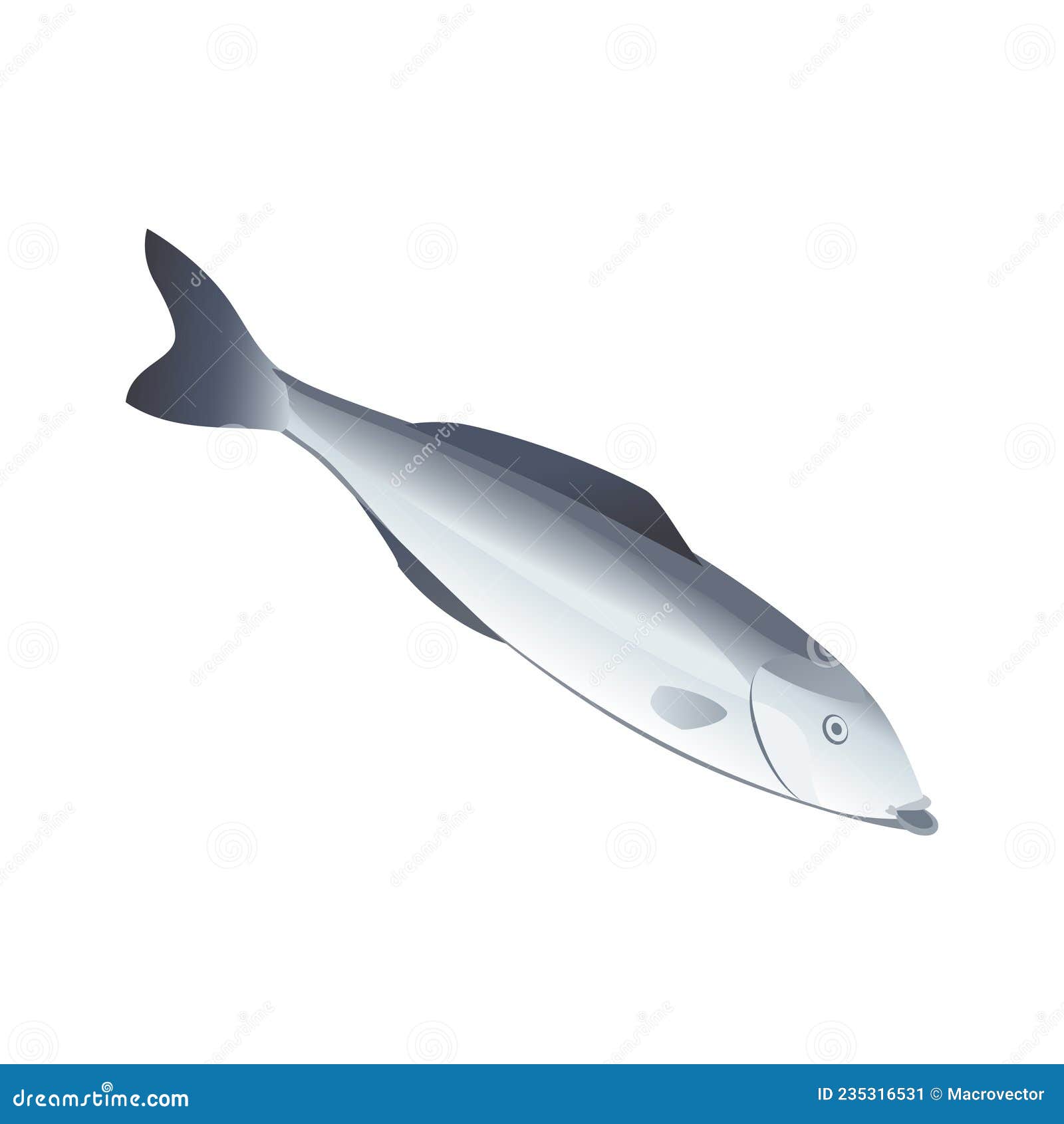 Isometric Sea Fish Composition Stock Vector - Illustration of water ...