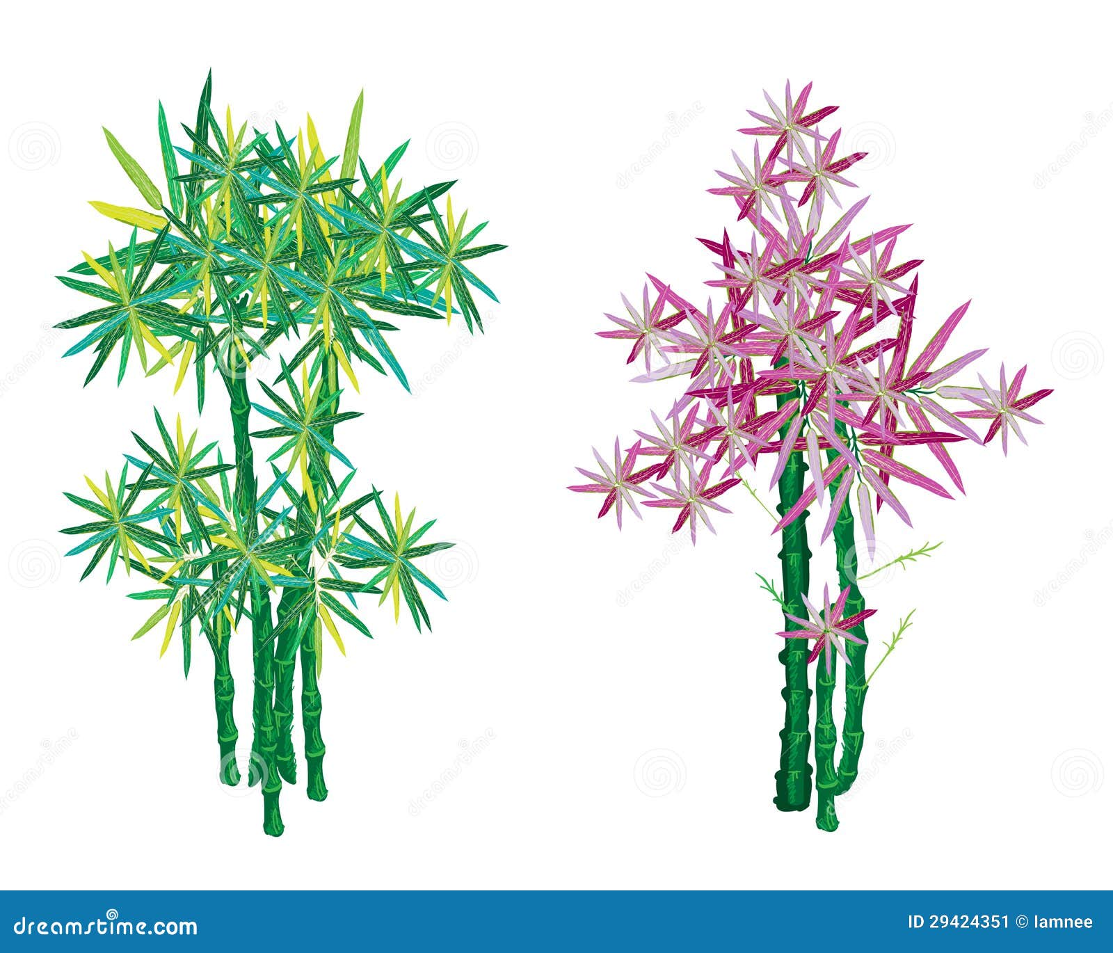 An Isometric Set and Various Style of Bammboo Plan Stock Vector ...