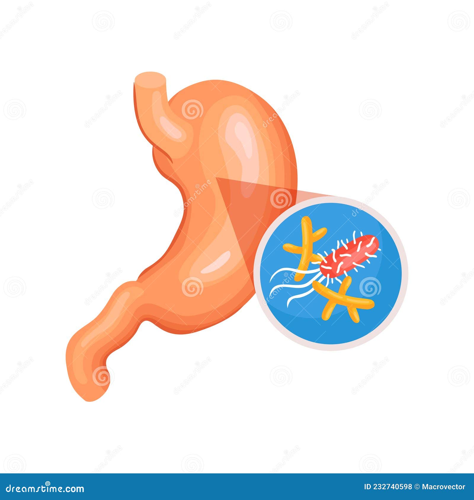 Isometric Stomach Bacteria Composition Stock Vector - Illustration of ...
