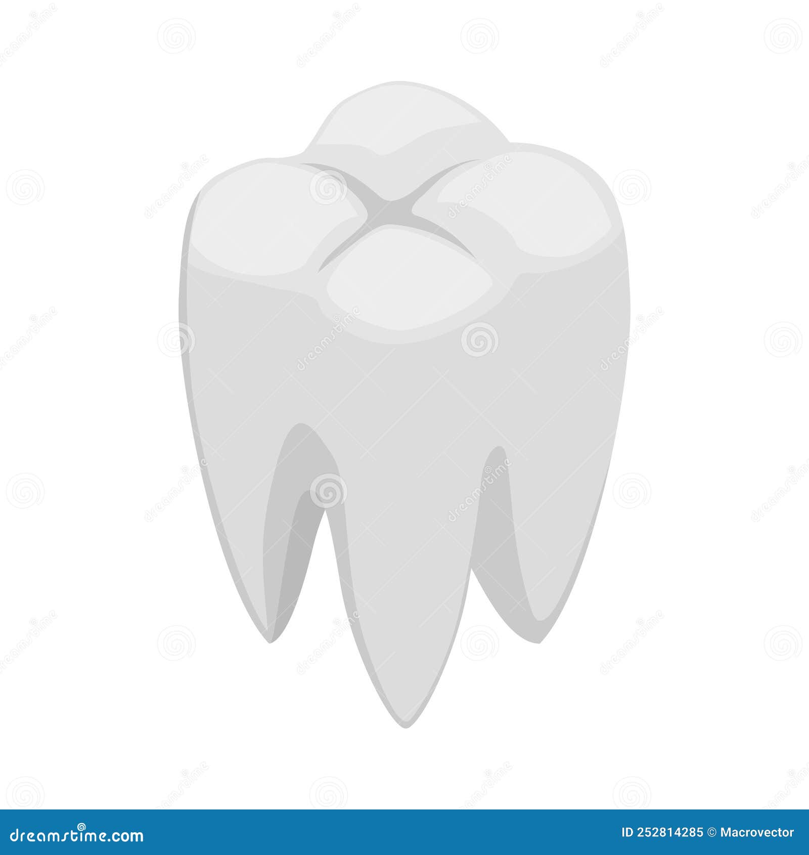 Isometric Tooth Illustration Stock Illustration - Illustration of ...