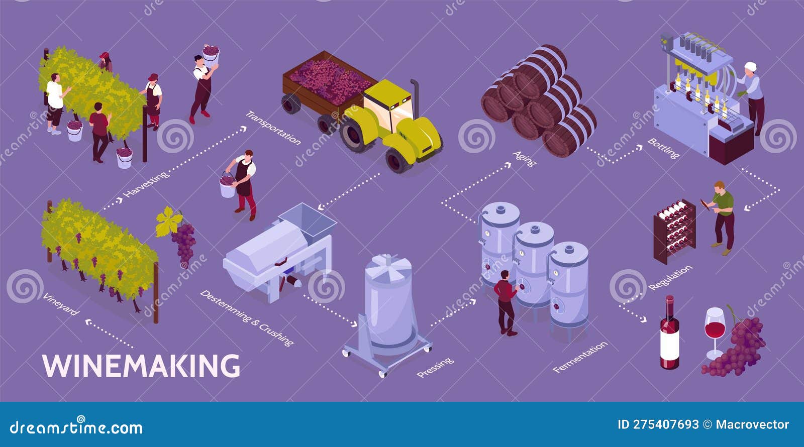 Isometric Vineyard Infographic Stock Vector - Illustration of industry ...