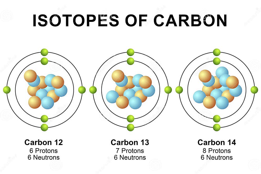 Isotopes of Carbon Diagram Isolated Stock Illustration - Illustration ...