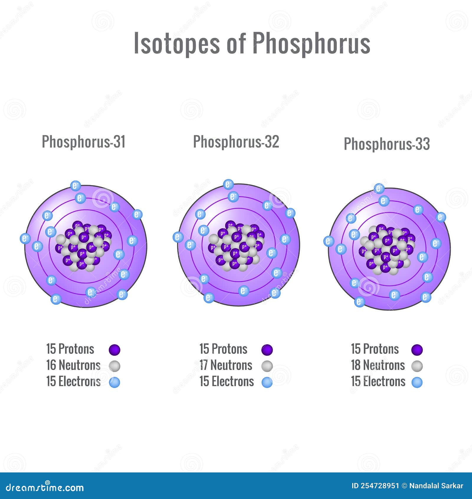 Isotopes Of Phosphorus Atom 3D Vector Illustration | CartoonDealer.com ...