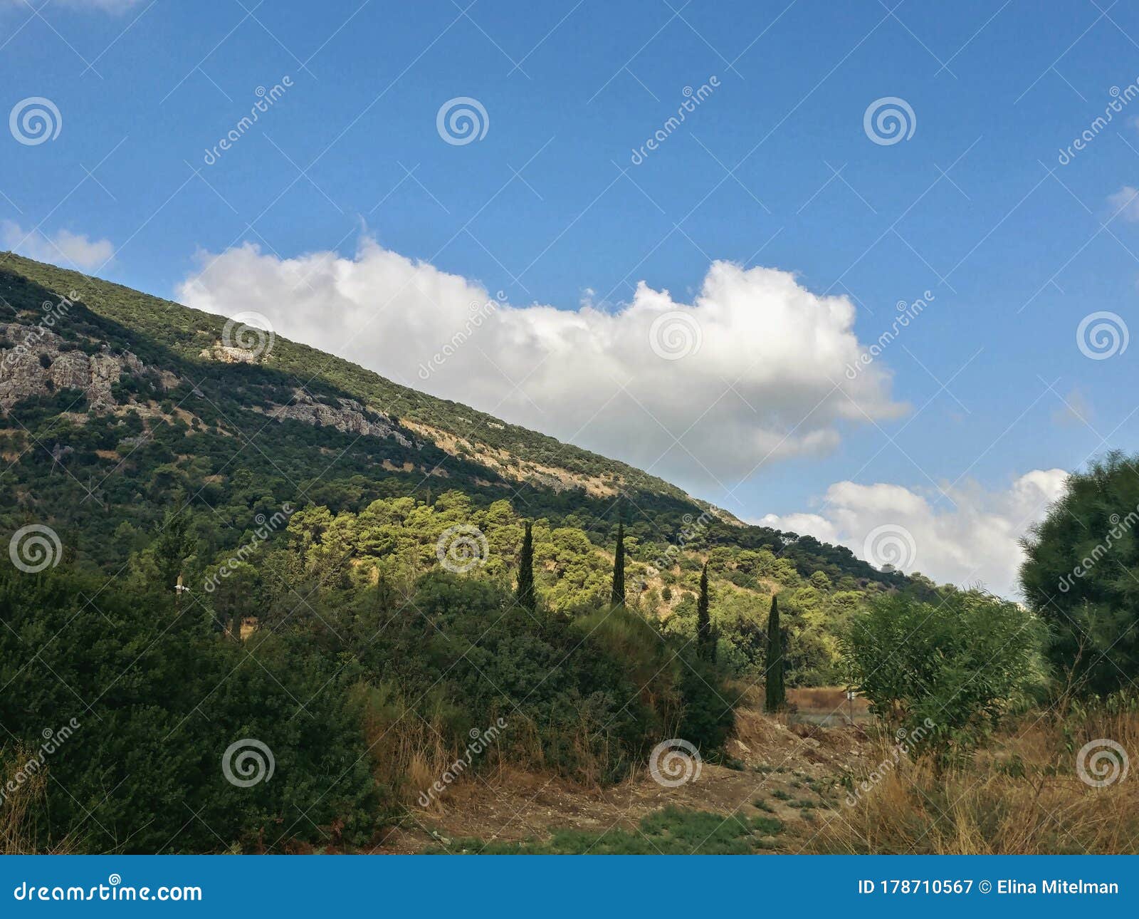 Israel Beautiful Green Nature Stock Image - Image of cloud, grassland ...