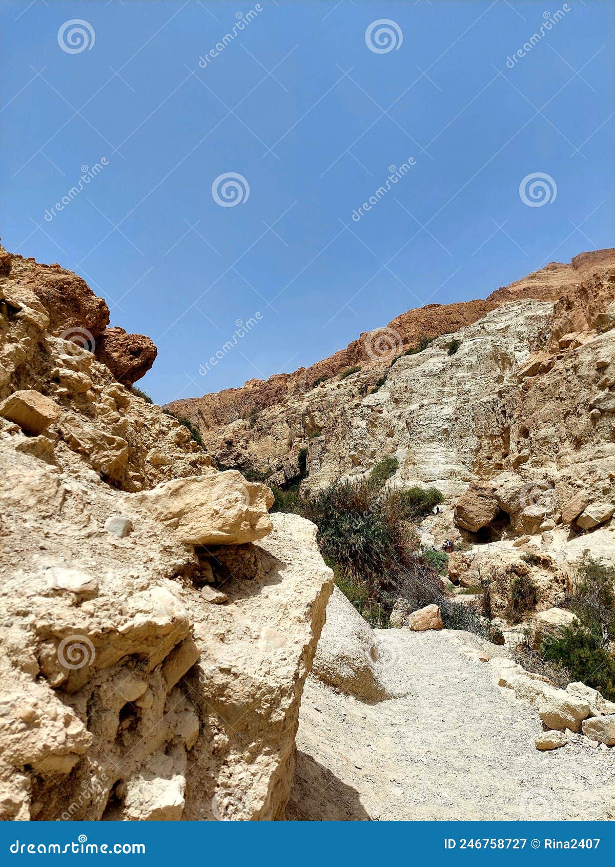 Desert With Dead Trees Against A Dramatic Red Sky Royalty-Free Stock ...