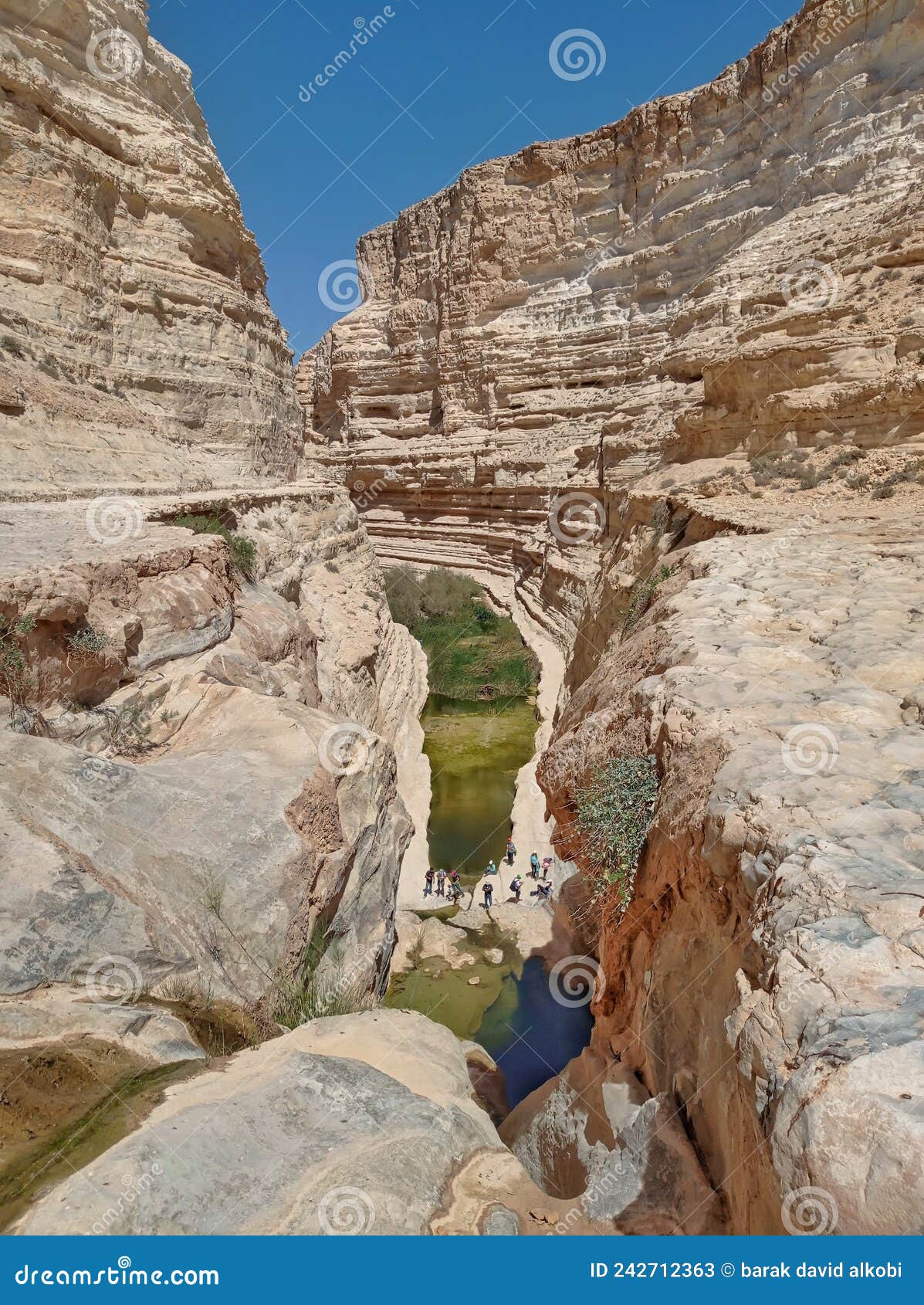 Israel desert oasis negev stock image. Image of oasis - 242712363