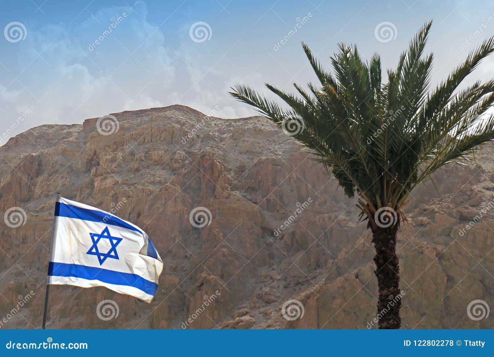 Isreal flag with palm tree stock photo. Image of blue - 122802278