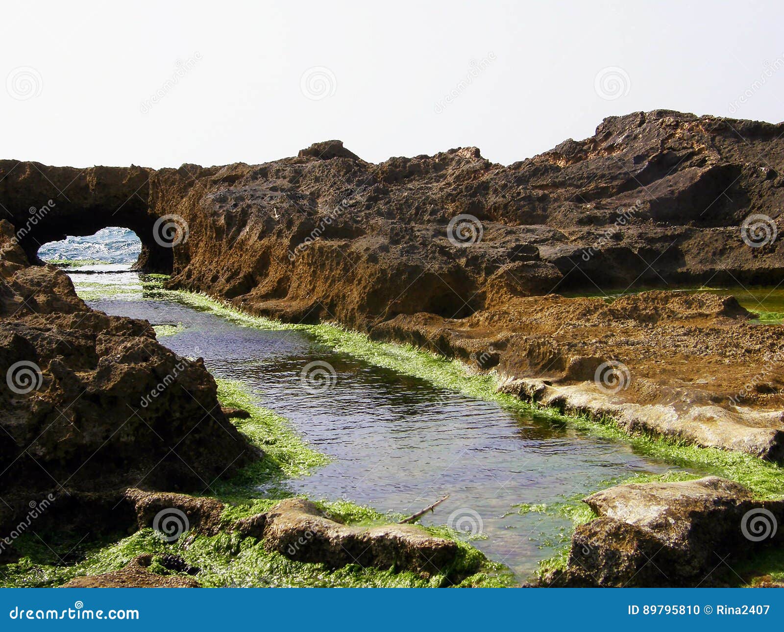 Israel water stock photo. Image of israel, water, nature - 89795810