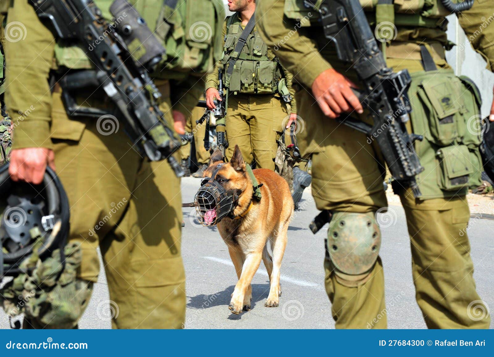 Israeli Army Attack Dog Editorial Image - Image: 27684300