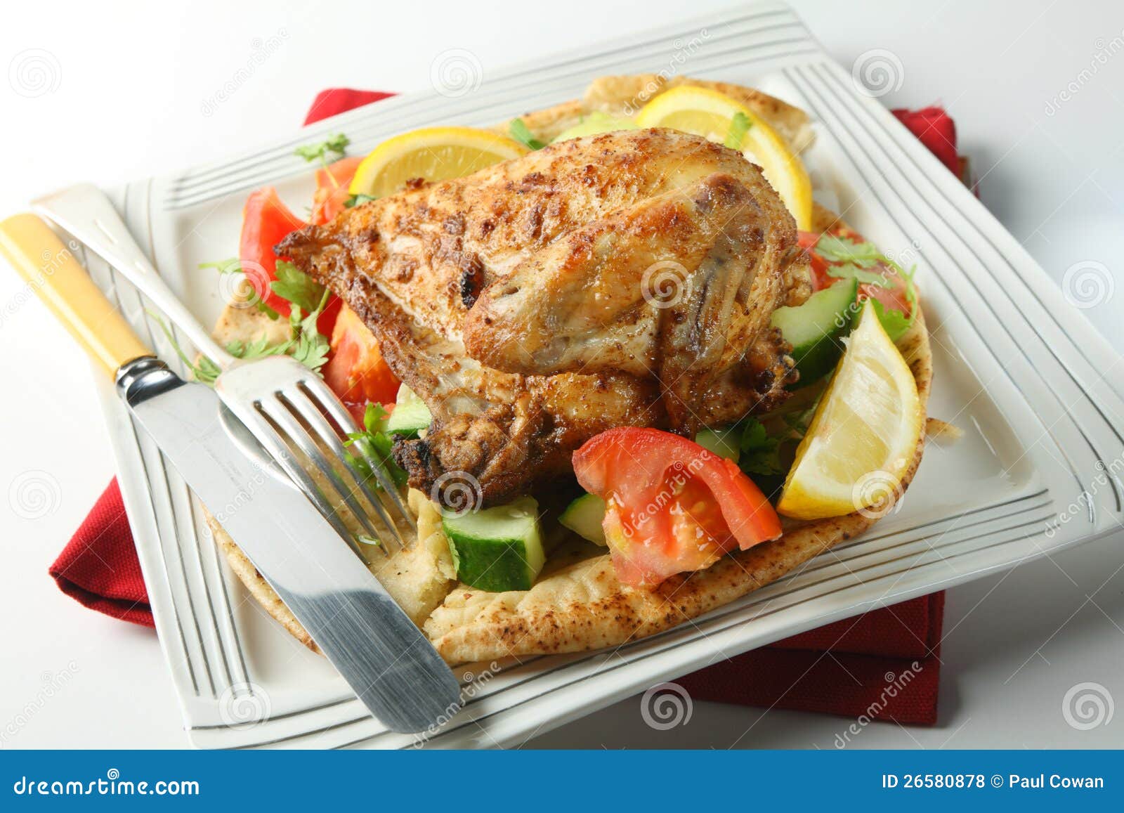 Israeli barbecue chicken stock photo. Image of east, middle - 26580878