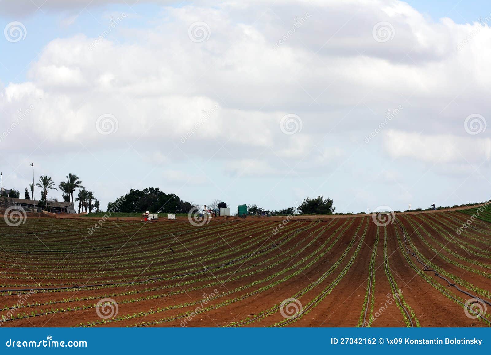 Israeli field stock photo. Image of fresh, green, farming - 27042162