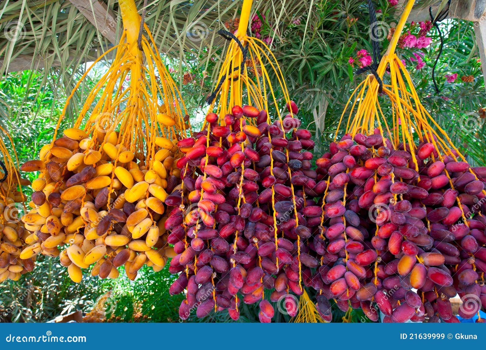 Israeli Market stock image. Image of farm, color, cuisine - 21639999