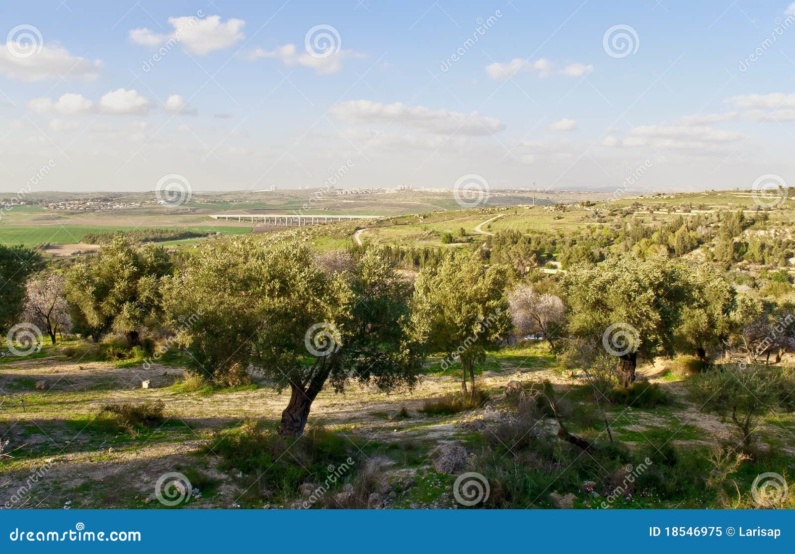 Israeli Spring landscape . stock image. Image of classic - 18546975