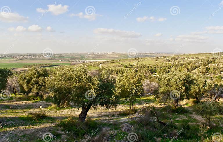 Israeli Spring landscape . stock image. Image of classic - 18546975