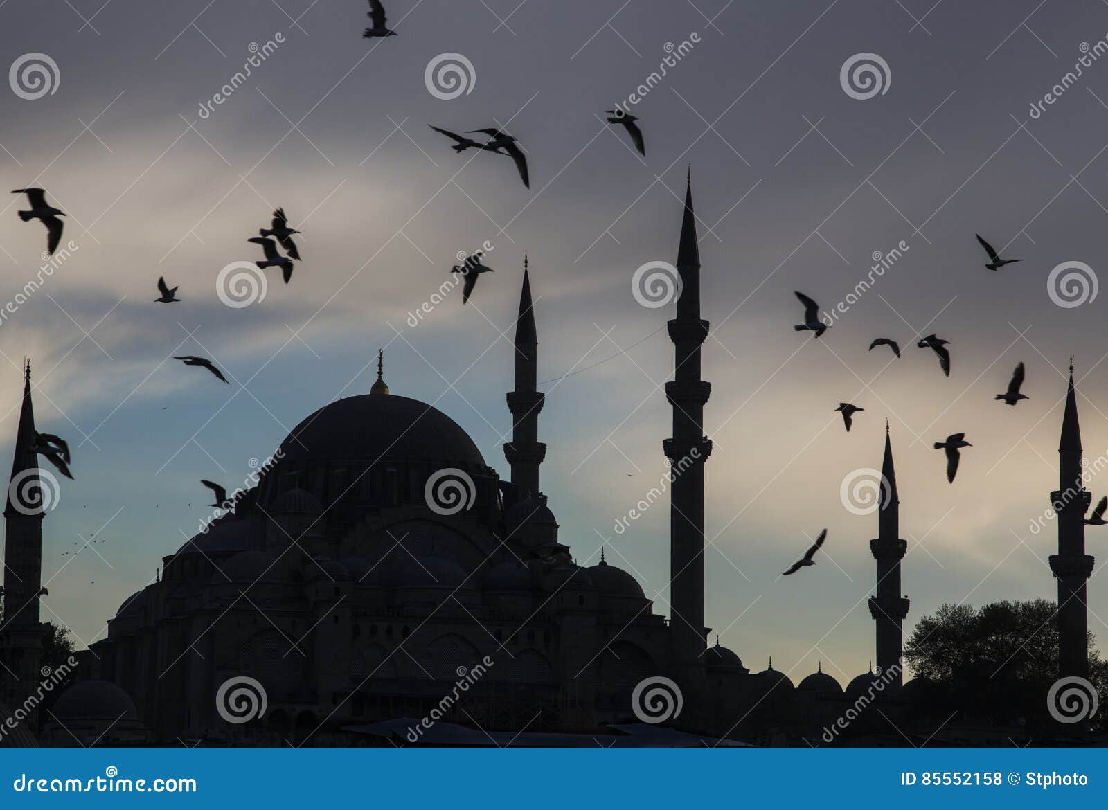 Istanbul. Birds Above the Ancient Mosque Stock Photo - Image of muslim ...