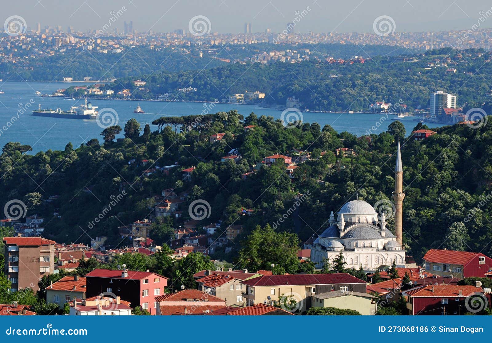 Istanbul Bosphorus stock photo. Image of mansions, ocean - 273068186