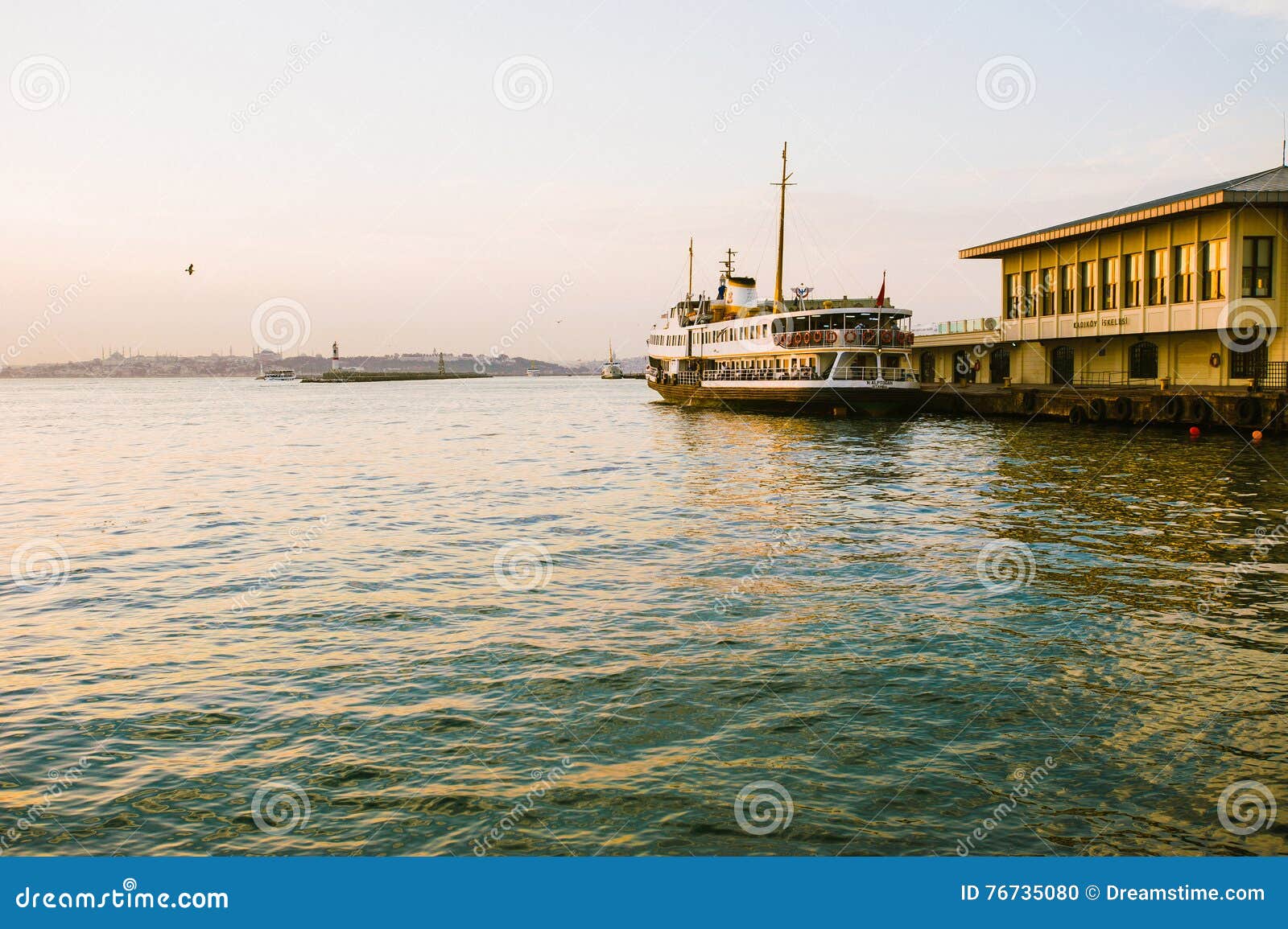 Istanbul port editorial image. Image of port, seagull - 76735080