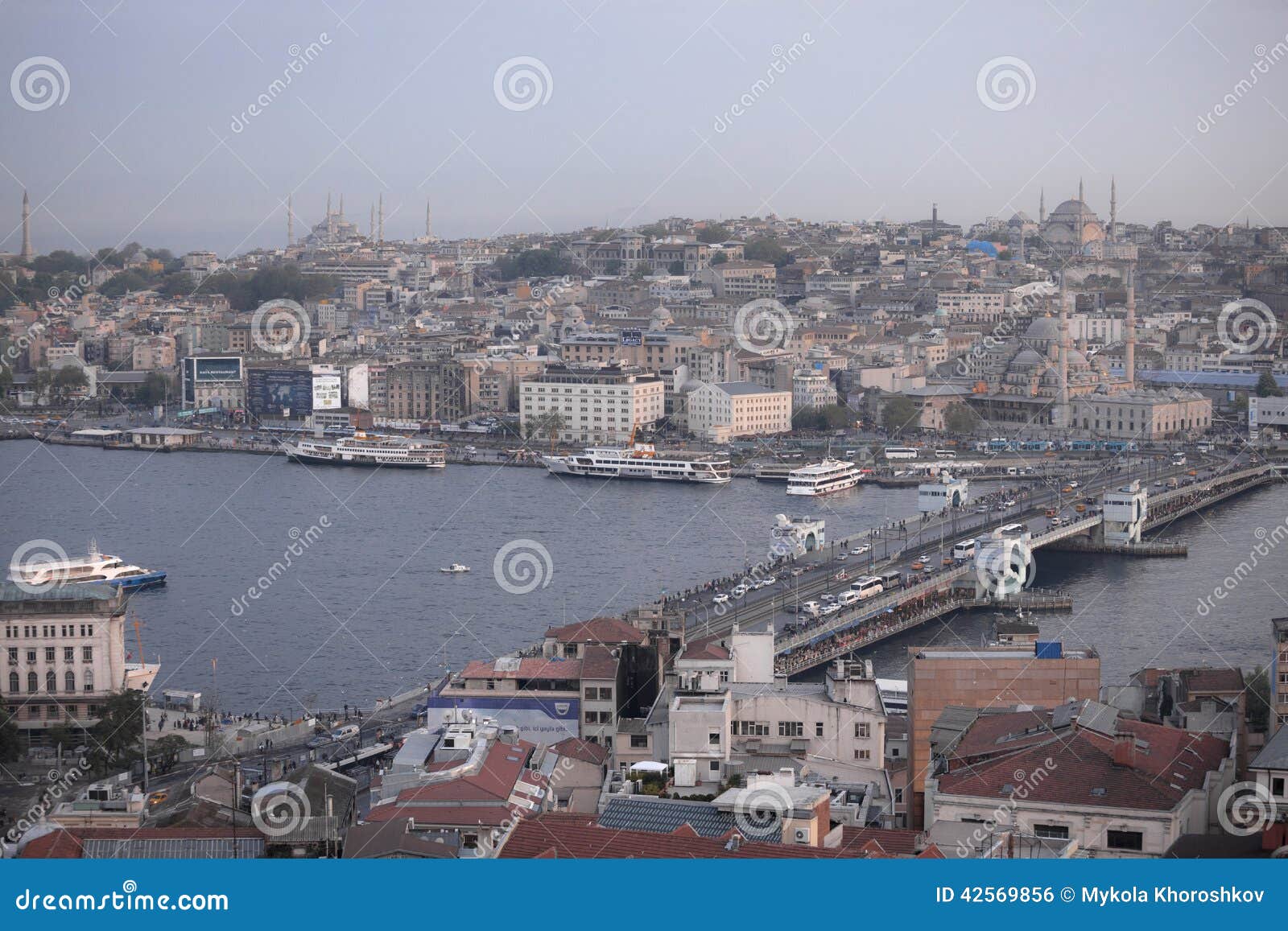 Istanbul Skyline With Galata Tower Editorial Photo | CartoonDealer.com ...