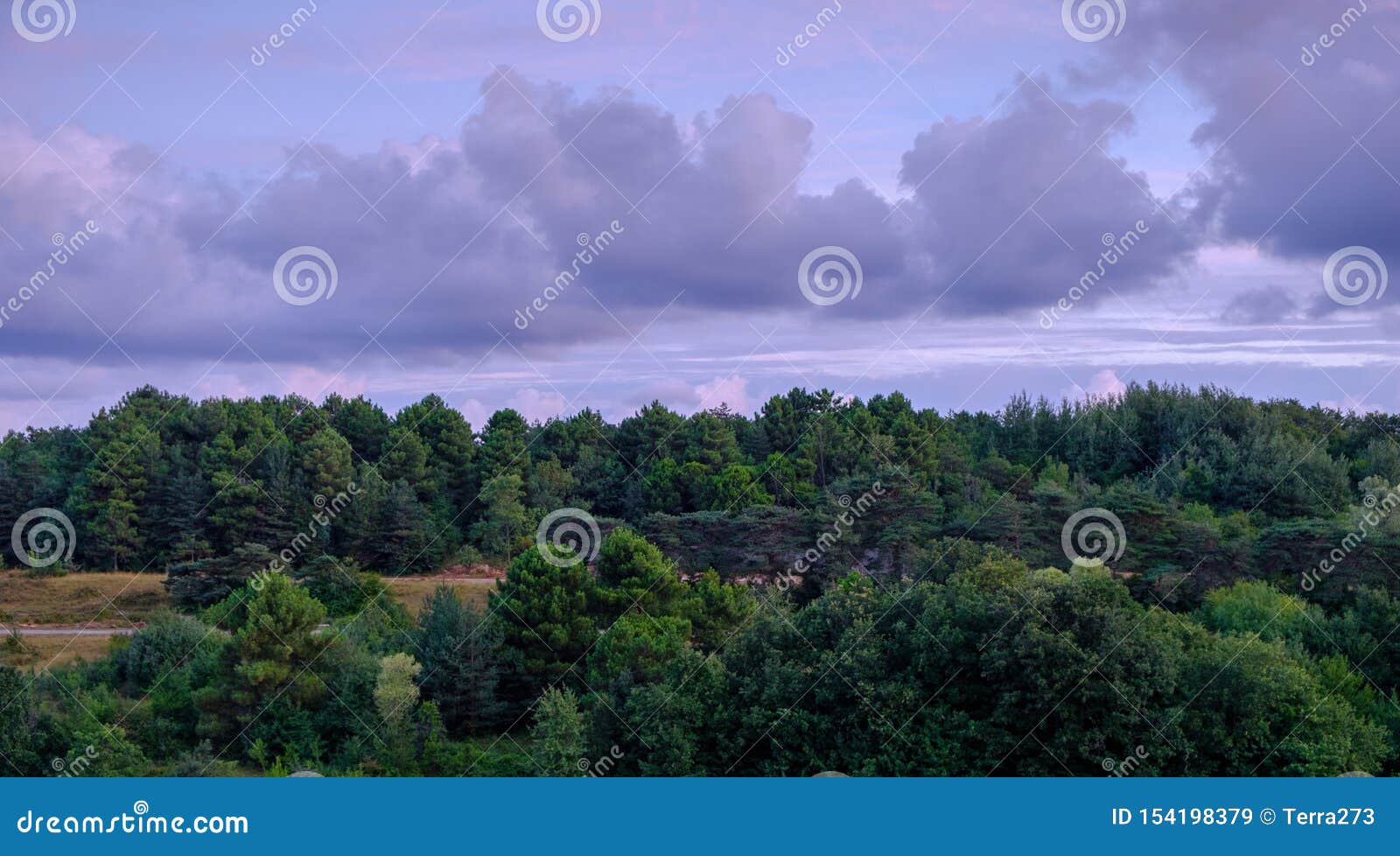 Istanbul, Turkey. View of the Forest at Sunrise Stock Image - Image of ...