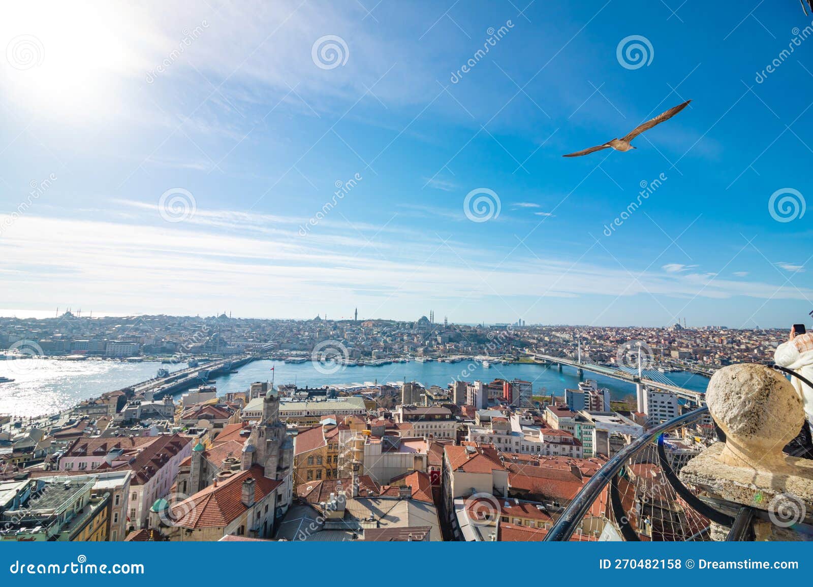 Istanbul View from Galata Tower at Daytime with a Seagull Editorial ... Istanbul View from Galata Tower at Daytime with a Seagull Editorial ...