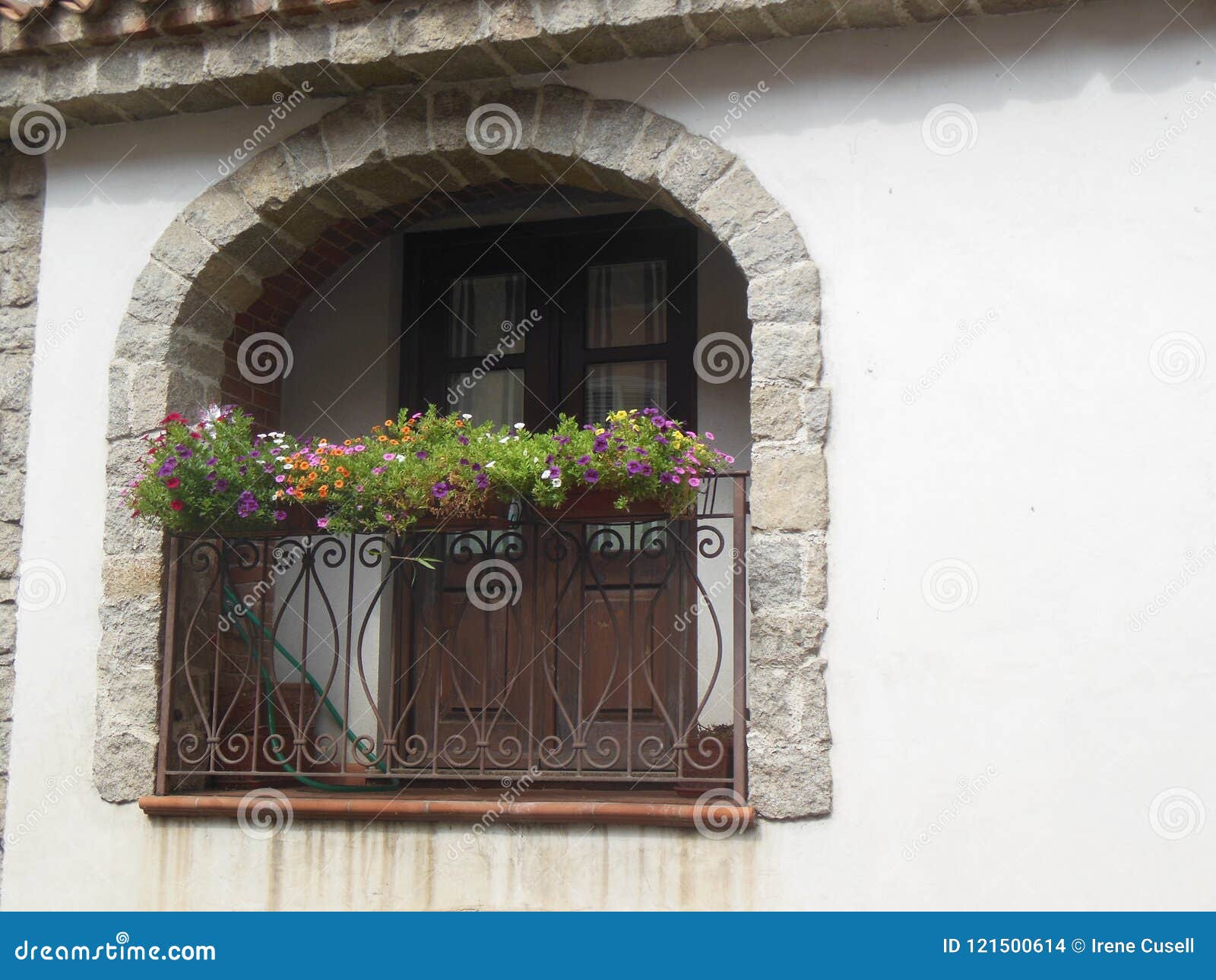 Italian Balcony with Flowering Plants Stock Photo - Image of flowering ...