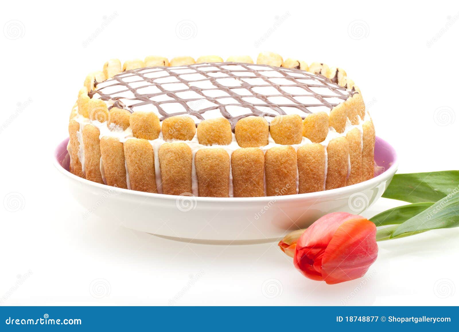 Italian Cake stock image. Image of italian, color, season - 18748877