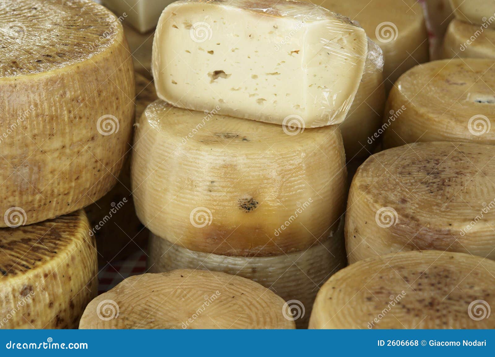 Italian cheese stock photo. Image of life, closeup, macro - 2606668