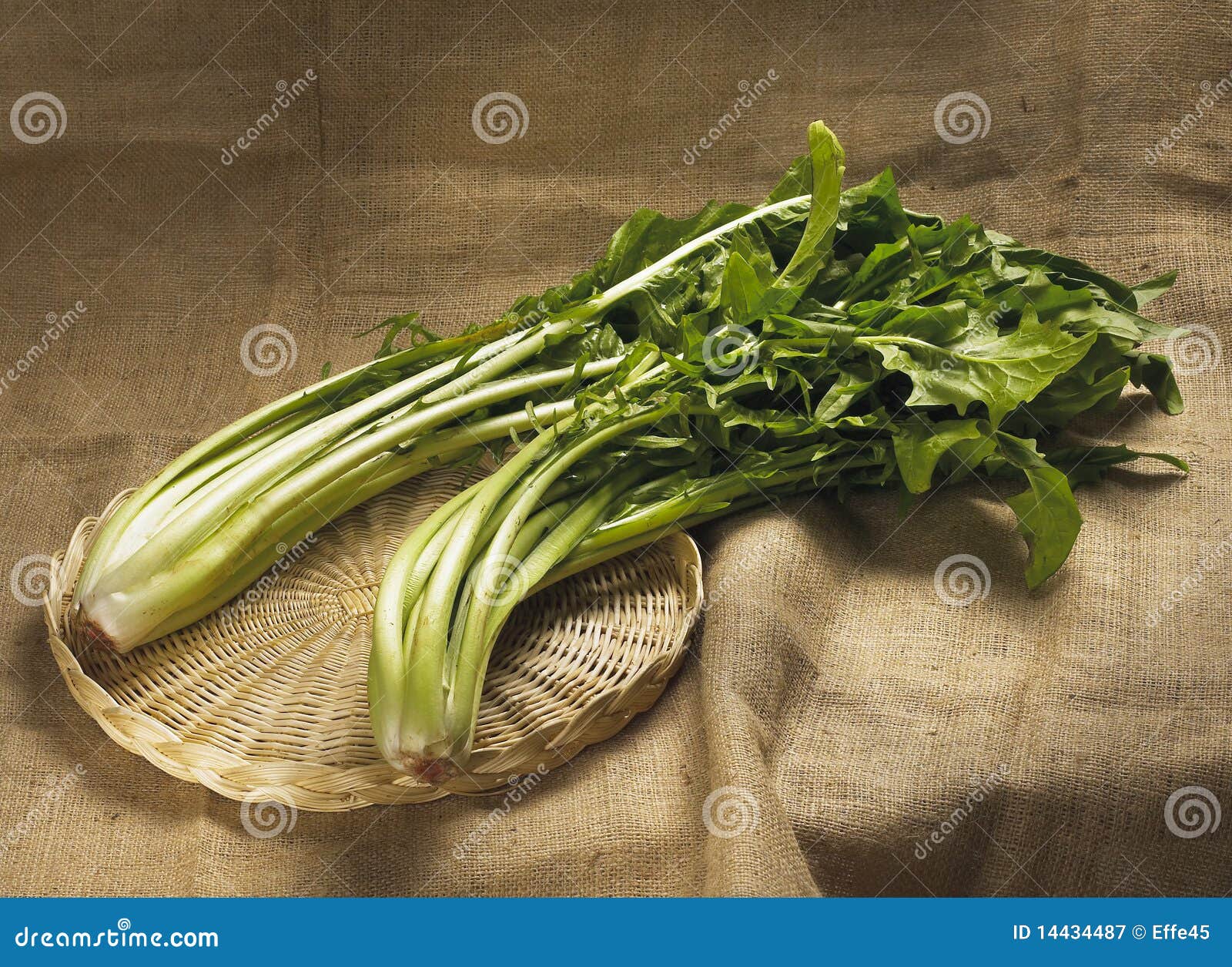 Italian chicory catalogna stock image. Image of natural - 14434487