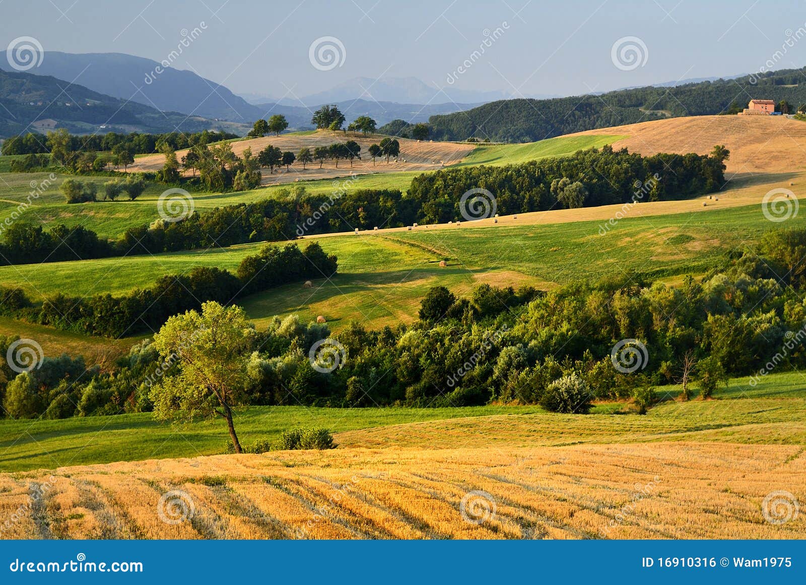 Italian countryside stock photo. Image of green, land - 16910316