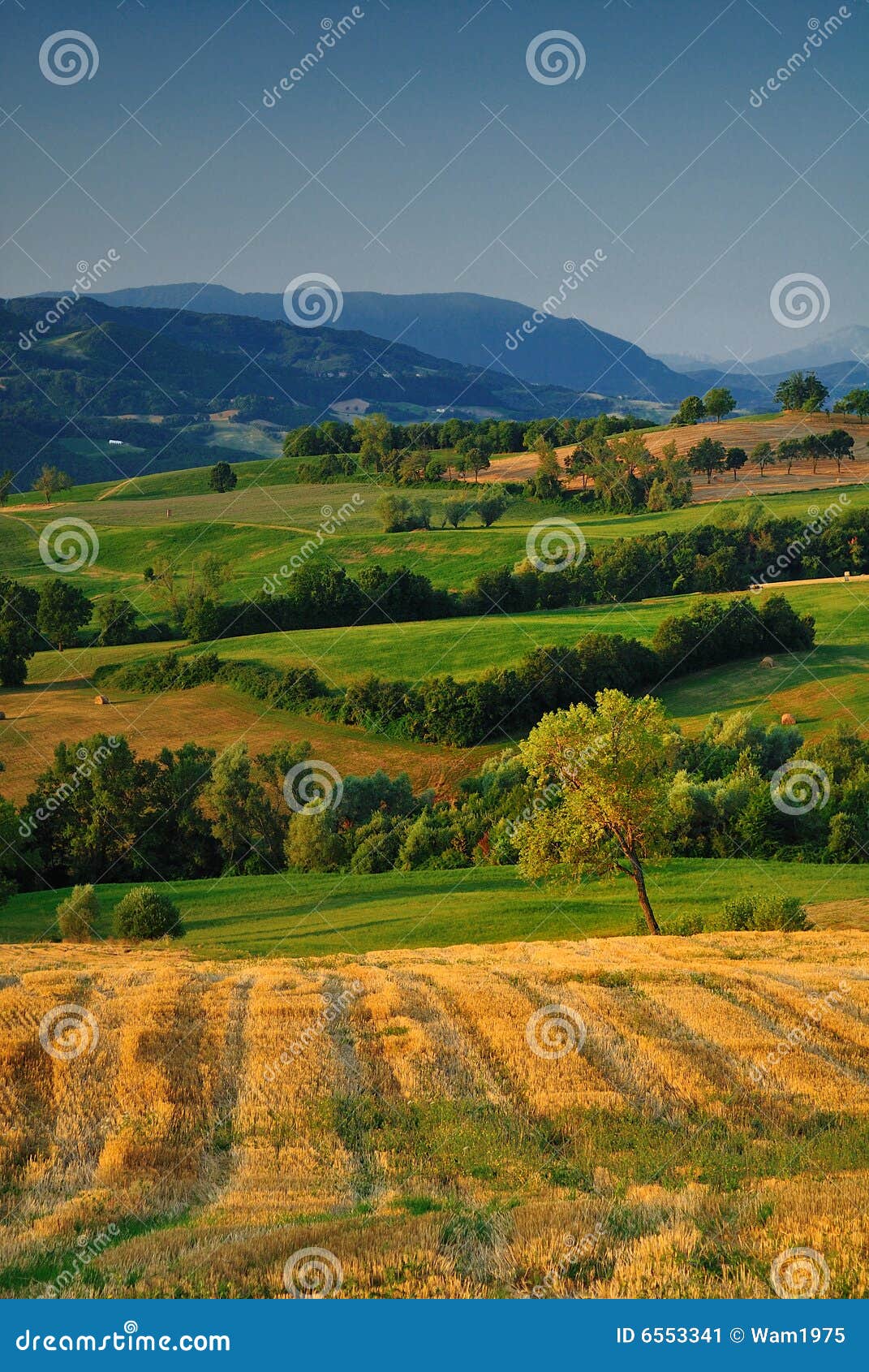 Italian countryside stock image. Image of rolling, destination - 6553341