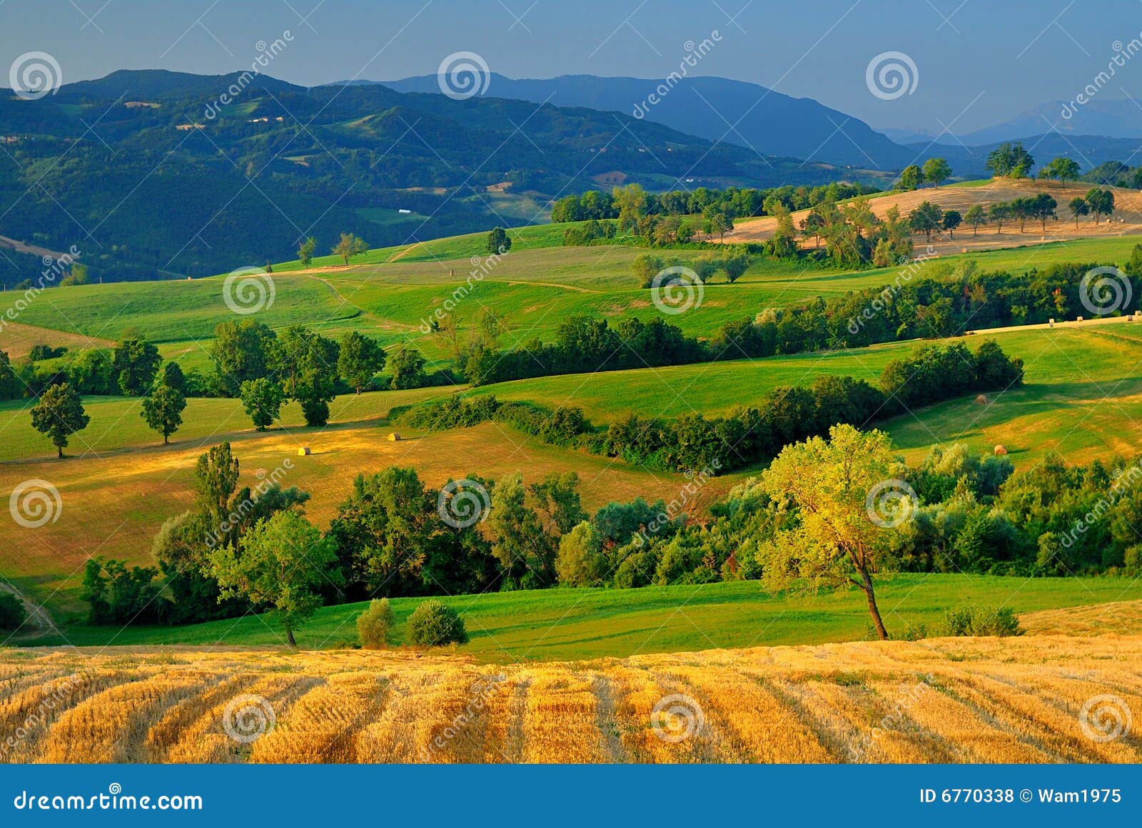 Italian countryside stock photo. Image of rolling, field - 6770338