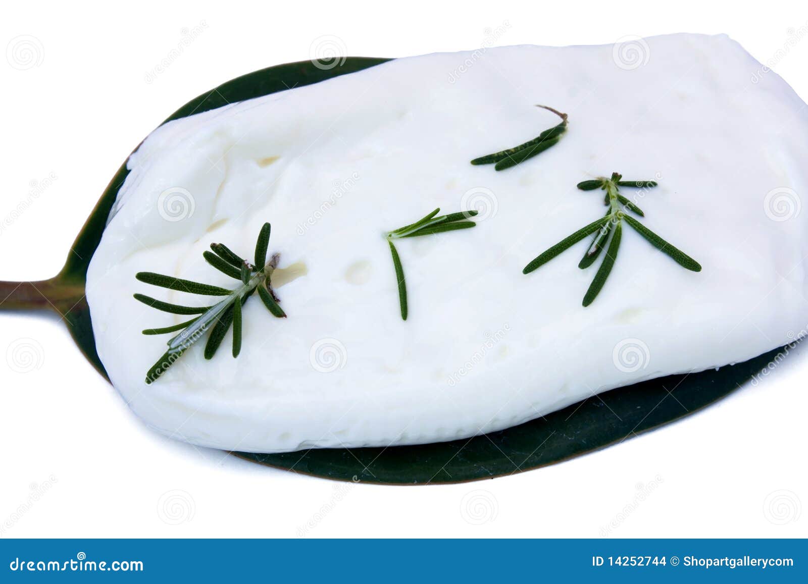 Italian Creamy Cheese stock photo. Image of milk, tasty - 14252744