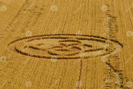 Italian crop circle stock image. Image of wheat, italian - 12163207
