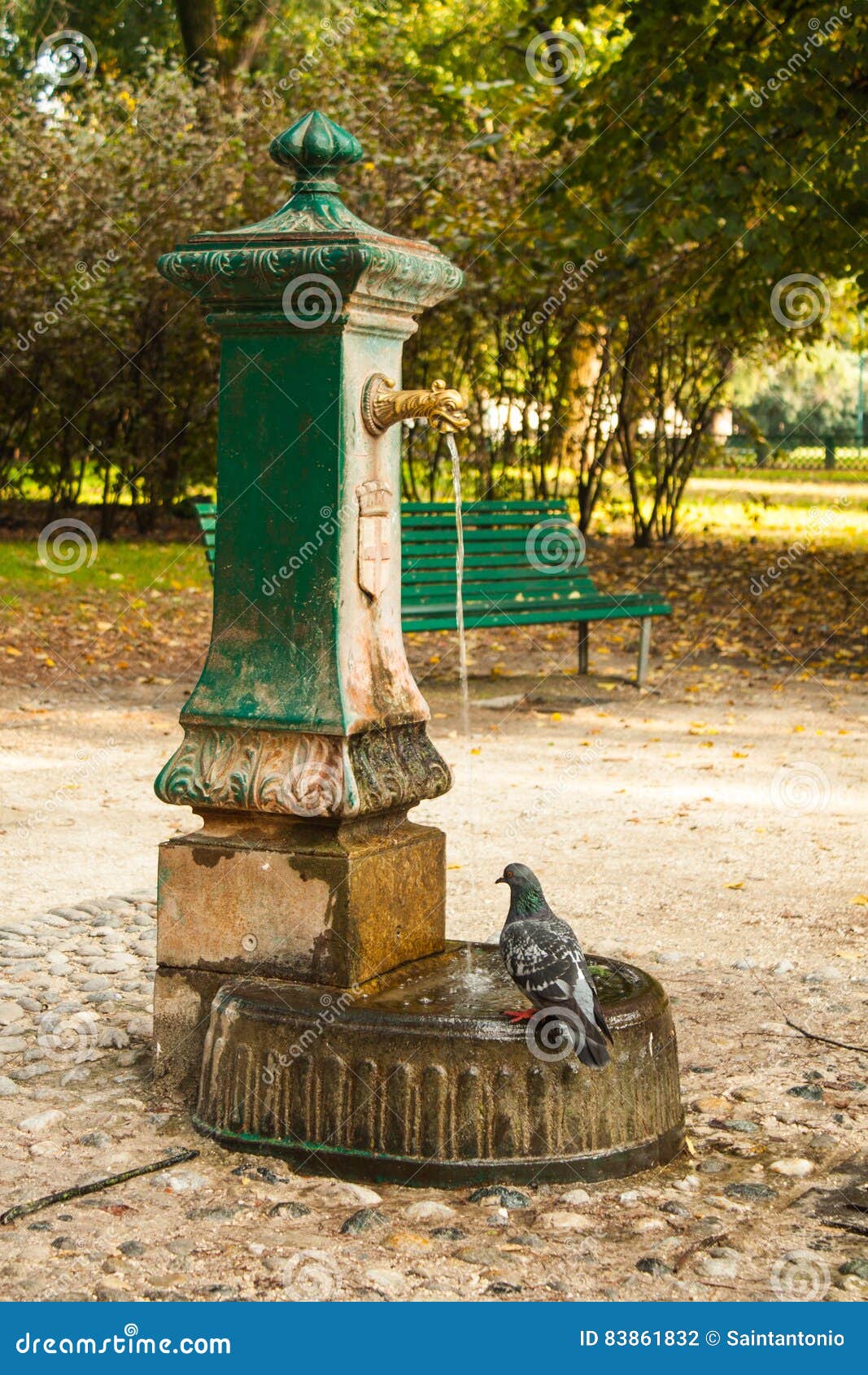 Italian Drinking Well in a Park with Water and Pigeon. Stock Photo ...
