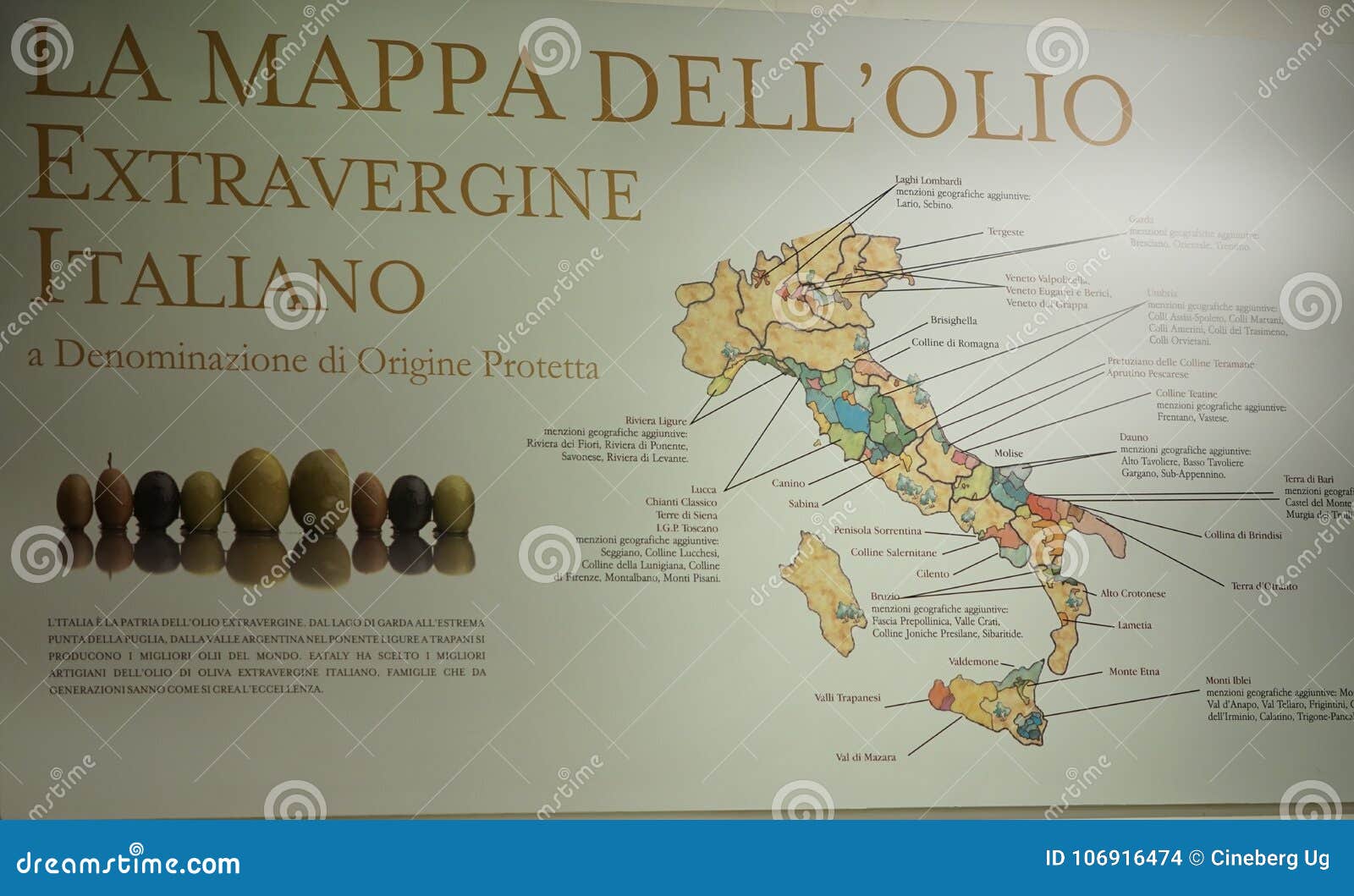 Italian Extra Virgin Olive Oil Stock Illustration - Illustration of ...