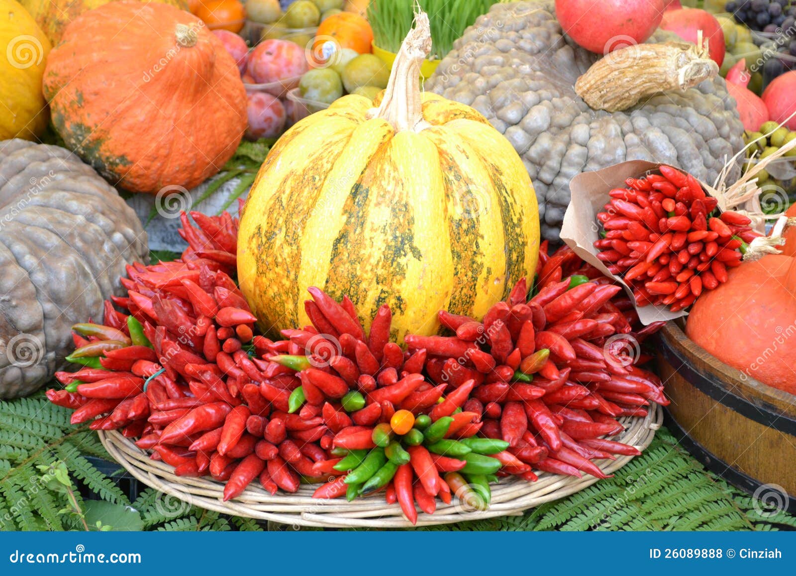 Italian Fall Harvest stock photo. Image of harvest, vegetables - 26089888