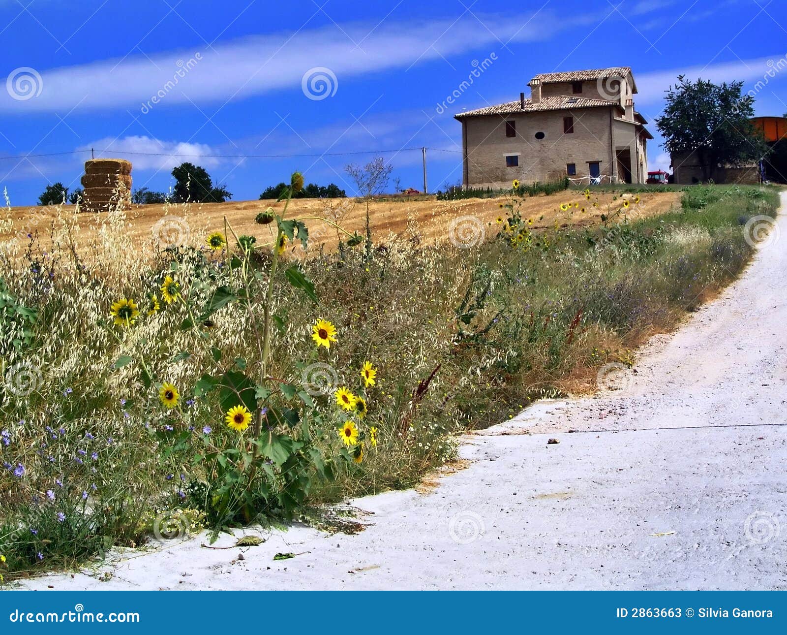 Italian farm stock image. Image of perspective, flowers - 2863663